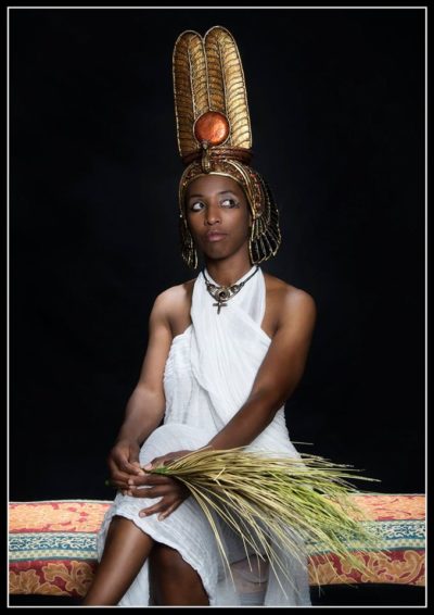 2015 Year in Review – Organic Armor